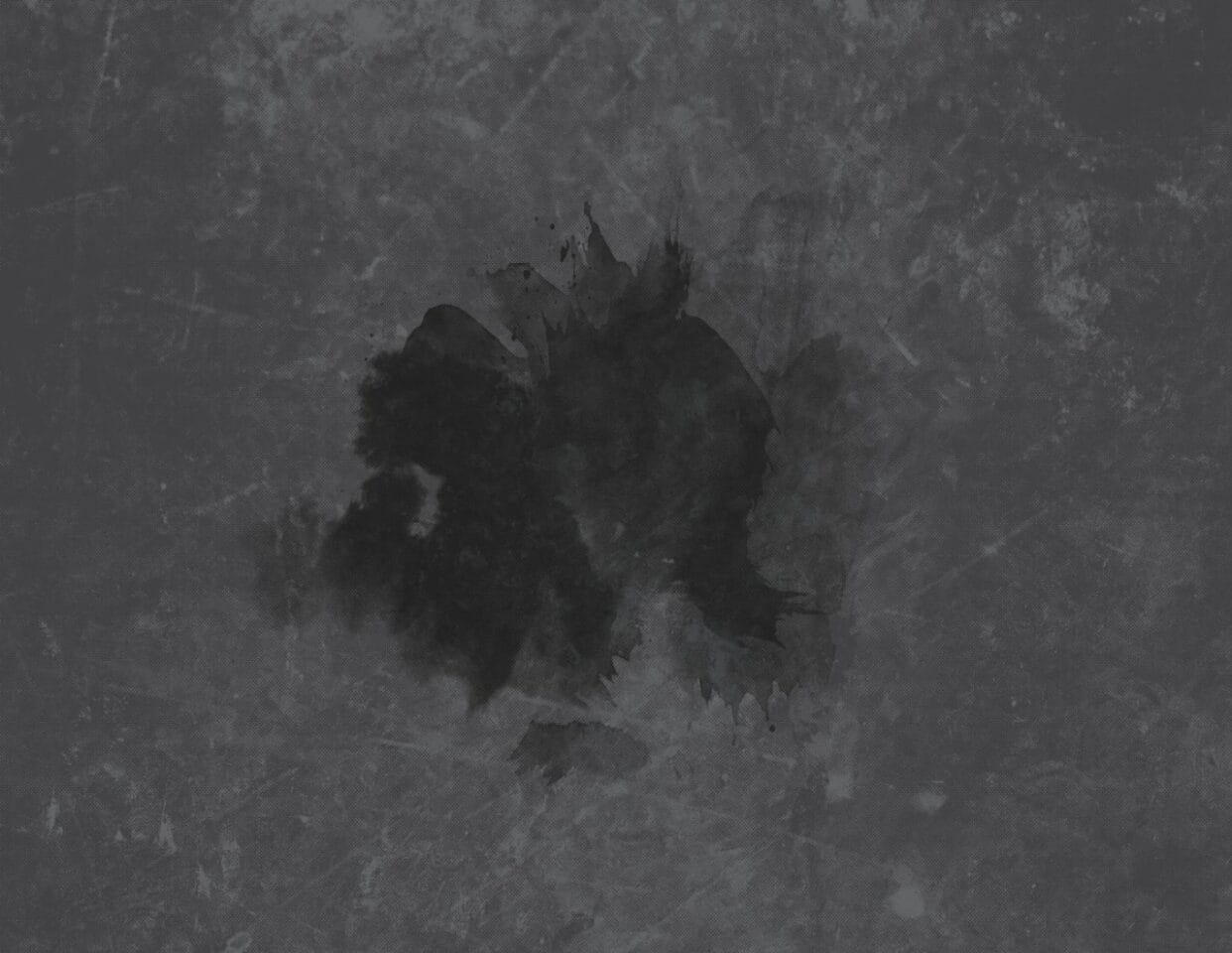 REVERB | Concert Travel Study